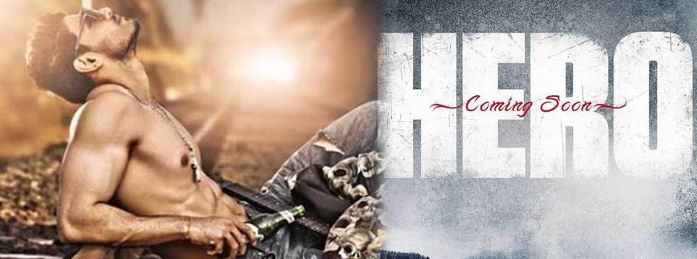 Movie Review Of Hero